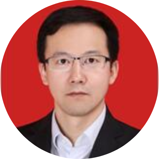 ICoIV 2024-Organizing Committee