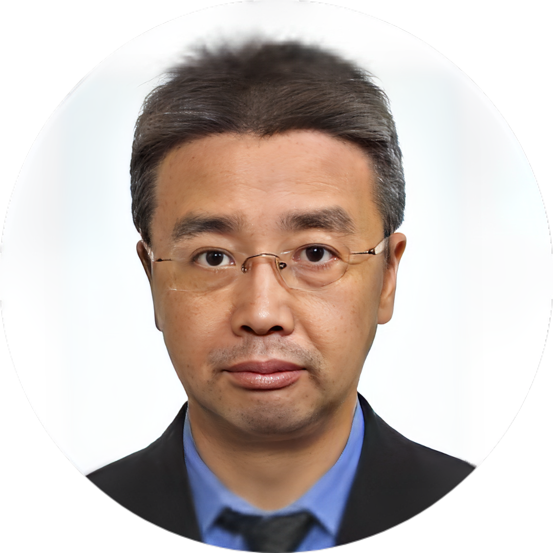 ICoIV 2024-Organizing Committee